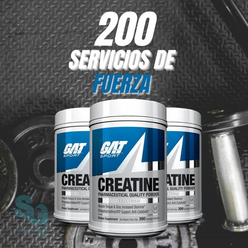 GAT CREATINA 300 GR - Fitsi!